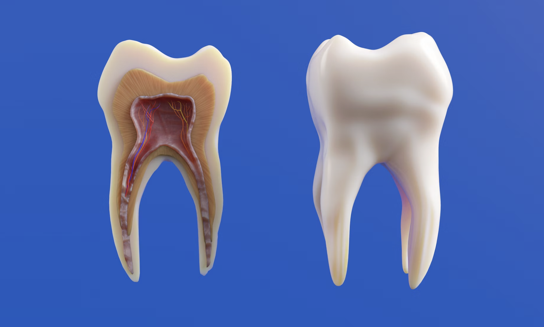 Acidic Foods and Enamel Erosion: Tips for Protecting Your Teeth from ...
